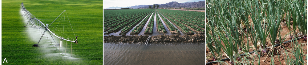 Choisir son système d'irrigation