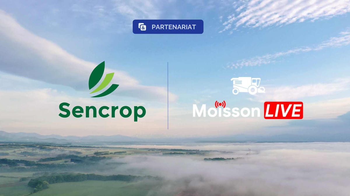 Moisson Live : les résultats de la moisson en direct